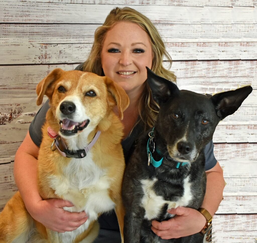 Meet Our Team - Murrysville Veterinary Associates